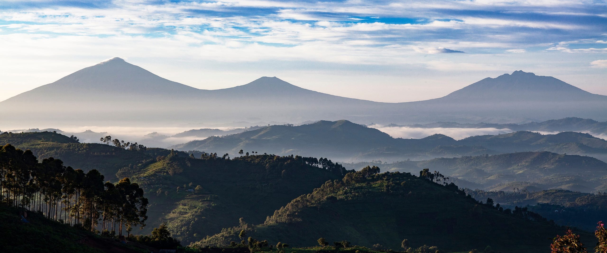 The Ultimate Guide to Gorilla Trekking in Rwanda: My Unforgettable ...